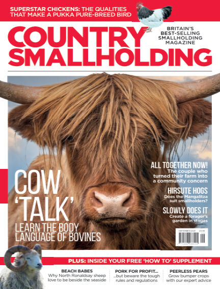 19 August, 2021 - The Country Smallholder Magazine - 1000's of ...