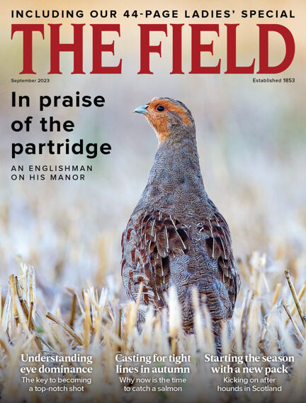 Read The Field magazine on Readly - the ultimate magazine subscription ...