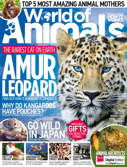 16 March, 2017 - World of Animals Magazine - 1000's of magazines in one app
