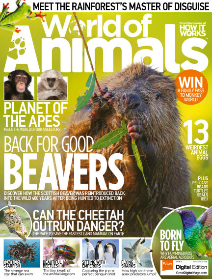 13 April, 2017 - World of Animals Magazine - 1000's of magazines in one app