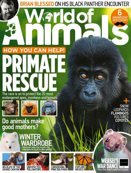 15 February 2018 - World of Animals Magazine - 1000's of magazines in ...