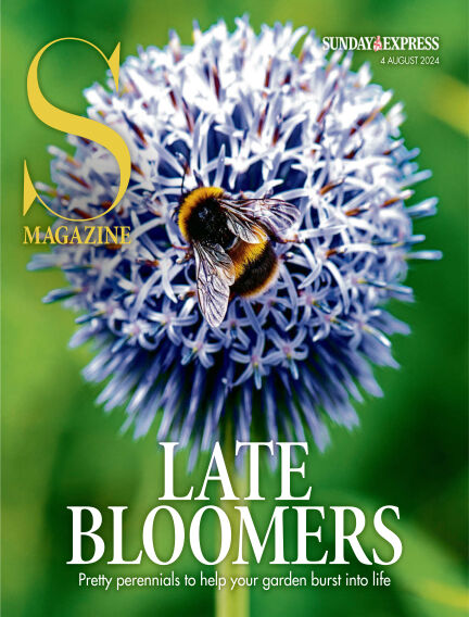 Sunday Express Sunday Magazine - 1000's of magazines in one app