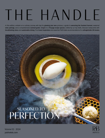 THE HANDLE Magazine - 1000's of magazines in one app