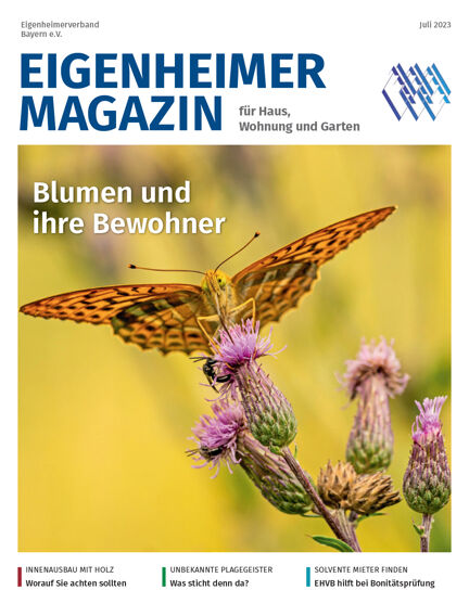 Read Eigenheimer Magazin magazine on Readly - the ultimate magazine ...