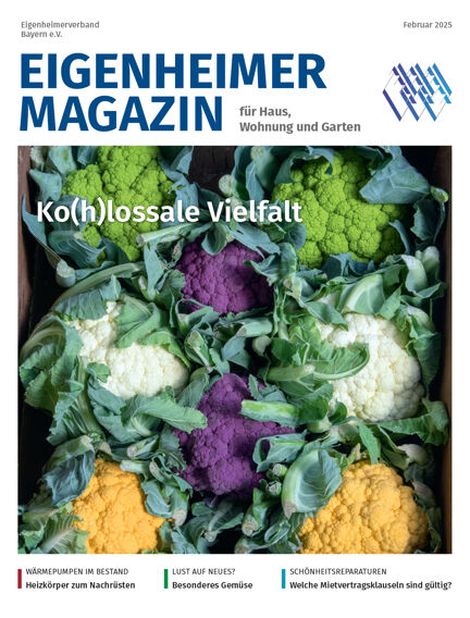 Read Eigenheimer Magazin magazine on Readly - the ultimate magazine ...