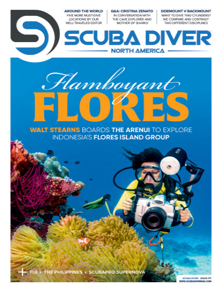 Read Scuba Diver Destinations magazine on Readly - the ultimate ...