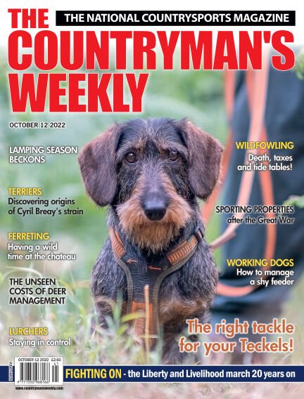 Read The Countryman's Weekly magazine on Readly - the ultimate magazine ...