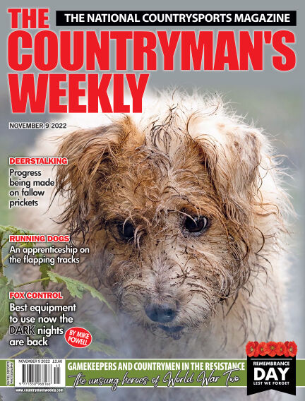 Read The Countryman's Weekly magazine on Readly - the ultimate magazine ...