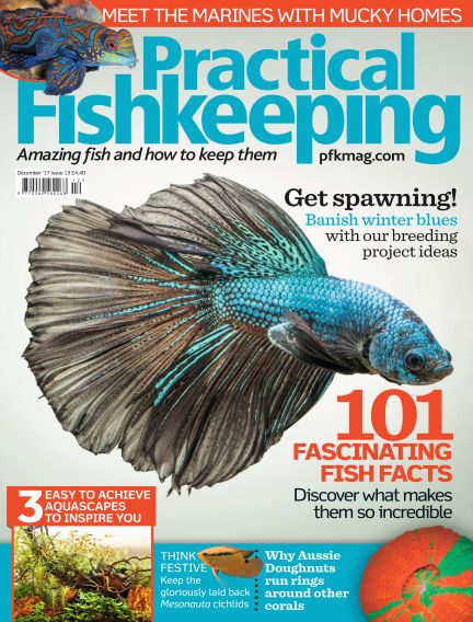 25 October, 2017 - Practical Fishkeeping Magazine - 1000's of magazines ...