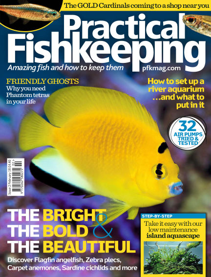 20 December, 2017 - Practical Fishkeeping Magazine - 1000's of ...