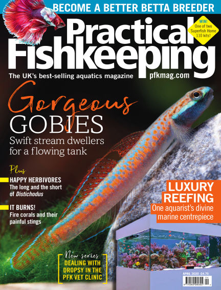 19 February, 2020 - Practical Fishkeeping Magazine - 1000's of ...