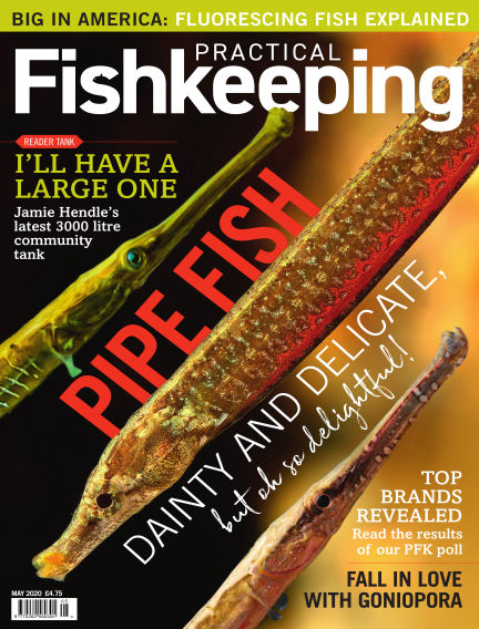 15 April, 2020 - Practical Fishkeeping Magazine - 1000's of magazines ...