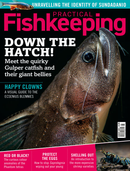 16 July, 2021 - Practical Fishkeeping Magazine - 1000's of magazines in ...