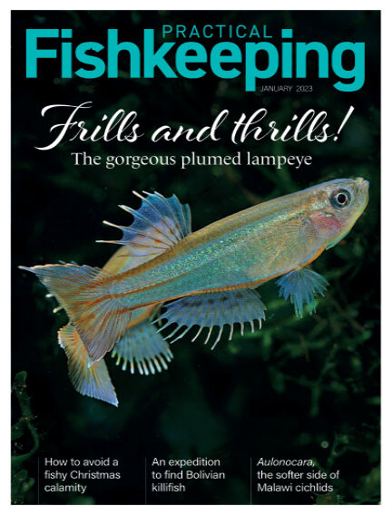 15 December, 2022 - Practical Fishkeeping Magazine - 1000's of ...