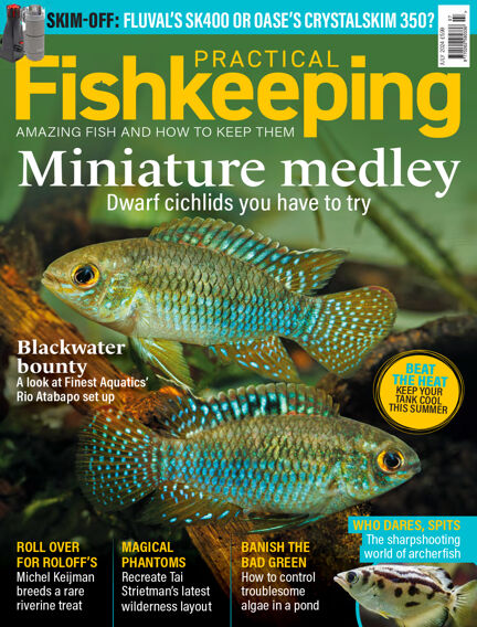 20 June 2024 - Practical Fishkeeping Magazine - 1000's of magazines in ...