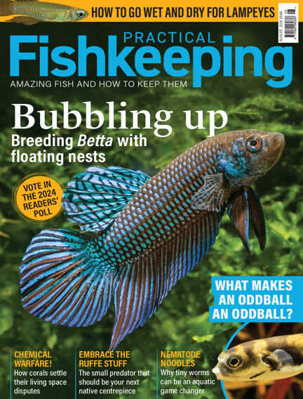 Practical Fishkeeping Magazine - 1000's of magazines in one app