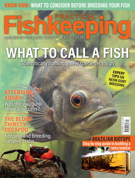 Read Practical Fishkeeping magazine on Readly the ultimate magazine subscription. 1000 s of magazines in one app