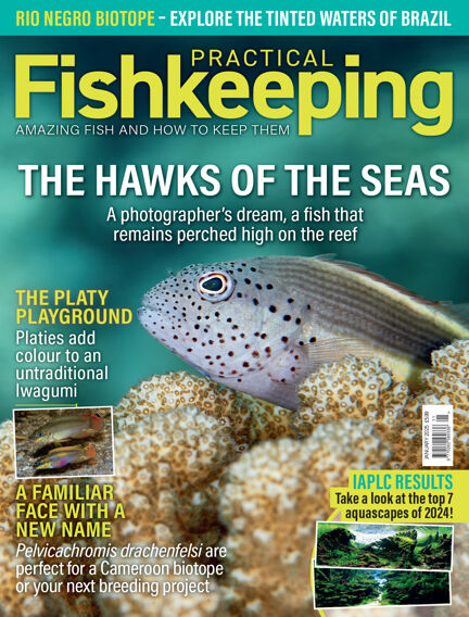 19 December 2024 - Practical Fishkeeping Magazine - 1000's of magazines ...