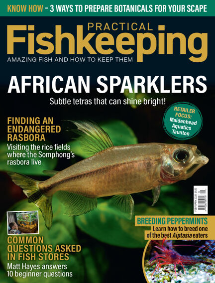 16 January, 2025 - Practical Fishkeeping Magazine - 1000's of magazines ...