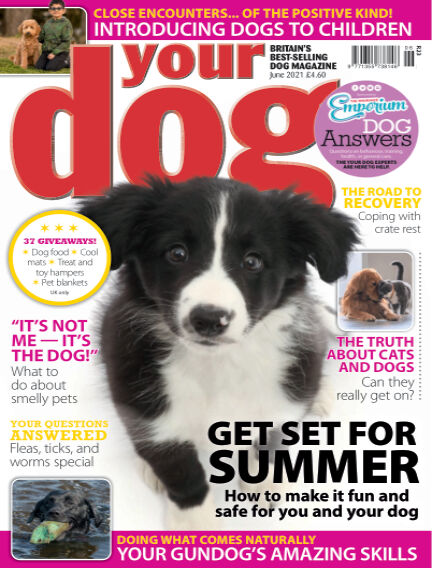 Read Your Dog Magazine magazine on Readly - the ultimate magazine ...
