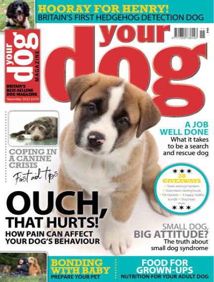 6 October 2022 - Your Dog Magazine - 1000's of magazines in one app