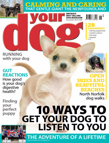 05 October, 2023 - Your Dog Magazine - 1000's of magazines in one app