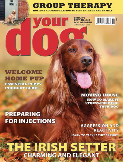 05 September, 2024 - Your Dog Magazine - 1000's of magazines in one app