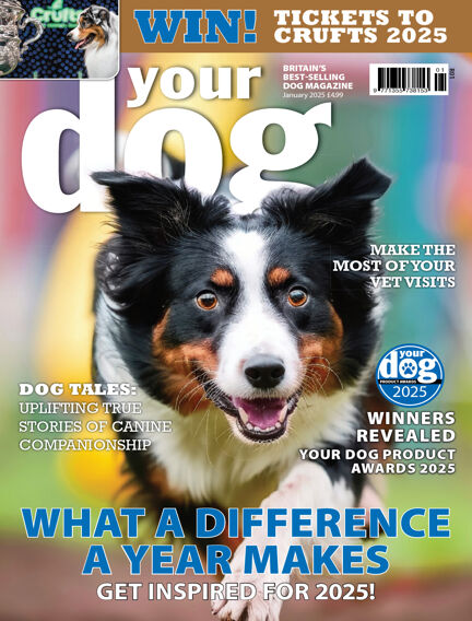 Your Dog Magazine - 1000's of magazines in one app