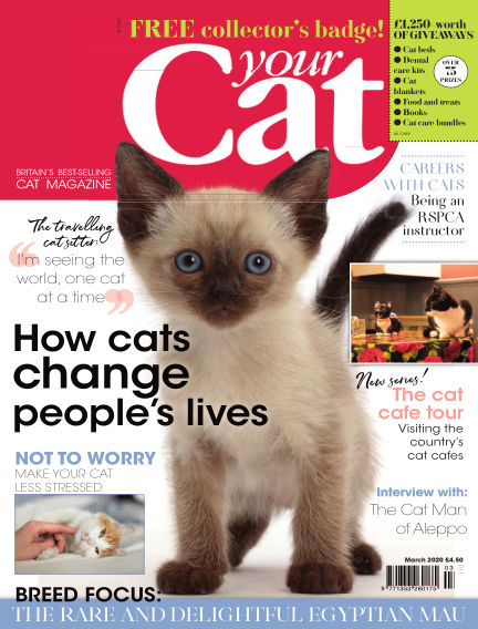 14 February, 2020 - Your Cat Magazine - 1000's of magazines in one app