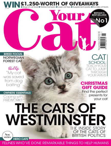 15 October, 2020 - Your Cat Magazine - 1000's of magazines in one app