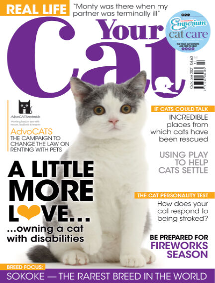 15 September, 2021 - Your Cat Magazine - 1000's of magazines in one app
