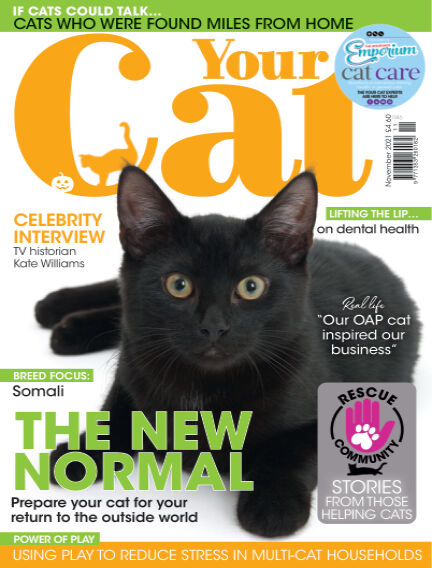 15 October, 2021 - Your Cat Magazine - 1000's of magazines in one app