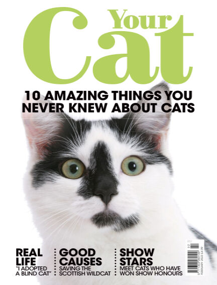 12 January 2023 - Your Cat Magazine - 1000's of magazines in one app