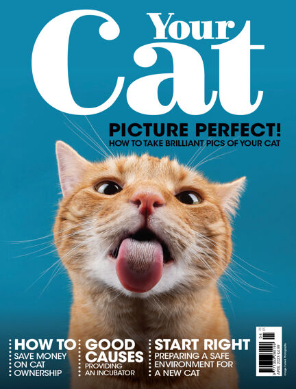 Read Your Cat Magazine magazine on Readly - the ultimate magazine ...