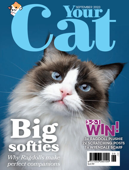 10 August 2023 - Your Cat Magazine - 1000's of magazines in one app