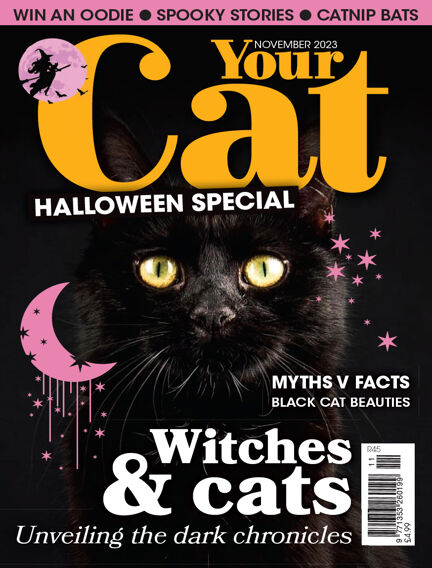 12 October, 2023 - Your Cat Magazine - 1000's of magazines in one app
