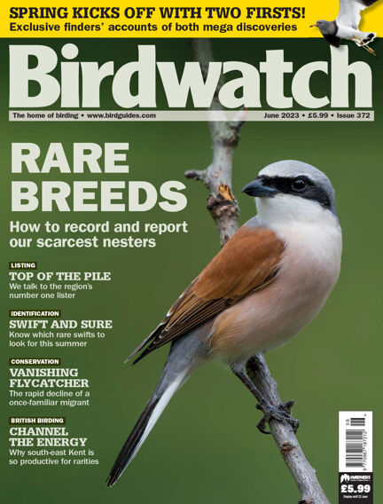 Birdwatch Magazine - 1000's of magazines in one app