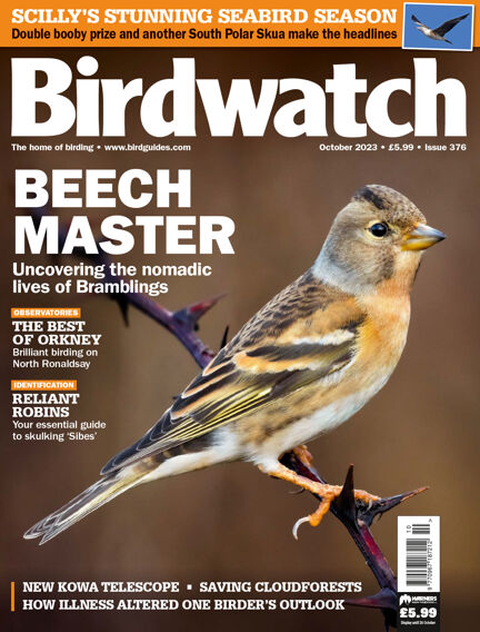 Birdwatch Magazine - 1000's of magazines in one app
