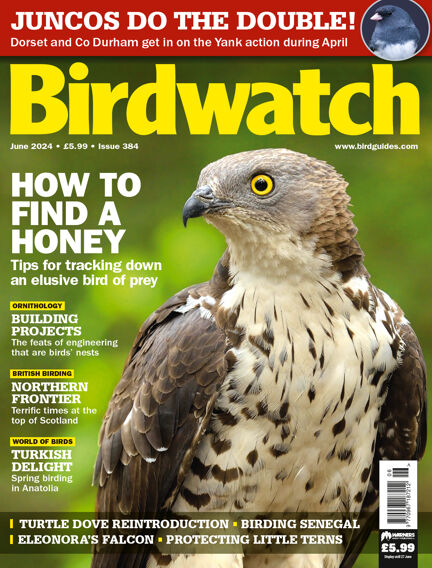 Birdwatch Magazine - 1000's of magazines in one app