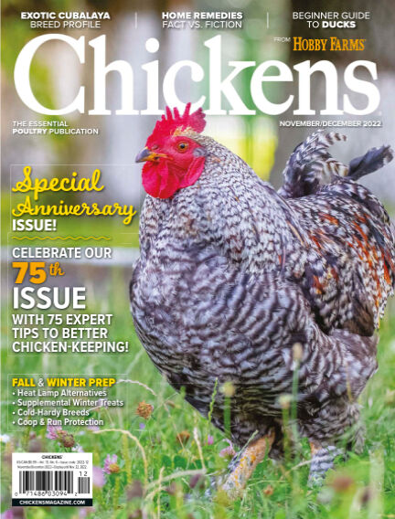 Read Chicken magazine on Readly - the ultimate magazine subscription ...