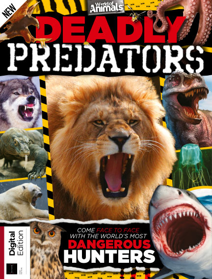 World of Animals Deadly Predators Magazine - 1000's of magazines in one app