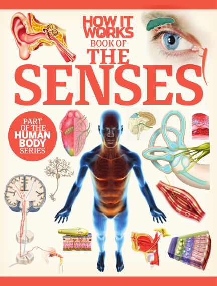 How It Works Book of the Senses Magazine - 1000's of magazines in one app