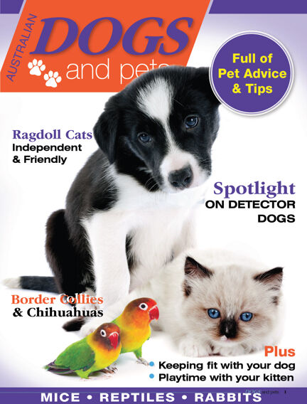 Read Dogs and Pets magazine on Readly - the ultimate magazine ...
