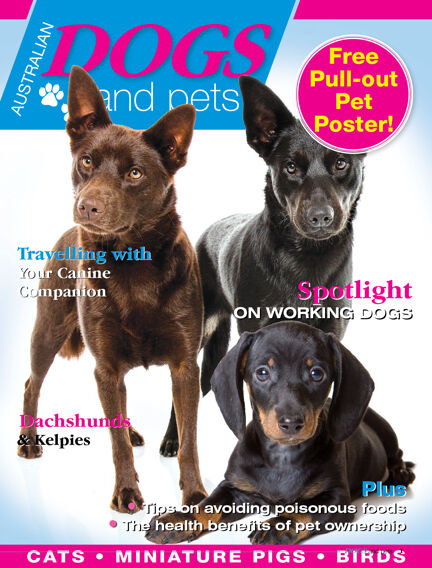 Read Dogs and Pets magazine on Readly - the ultimate magazine subscription. 1000's of magazines ...