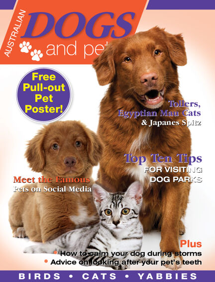 Read Dogs and Pets magazine on Readly - the ultimate magazine ...