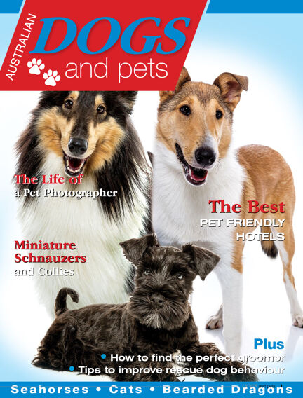 Read Dogs and Pets magazine on Readly - the ultimate magazine ...