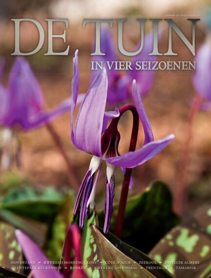 Read De Tuin in vier seizoenen magazine on Readly - the ultimate ...