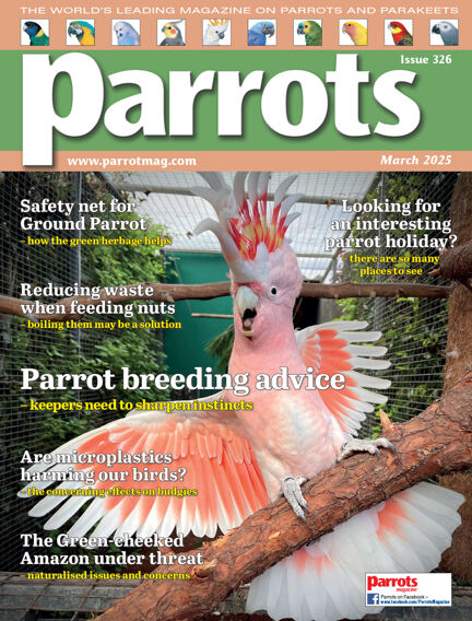 Parrots magazine - 1000's of magazines in one app