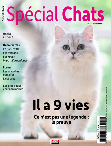 Read Spécial Chats magazine on Readly - the ultimate magazine ...