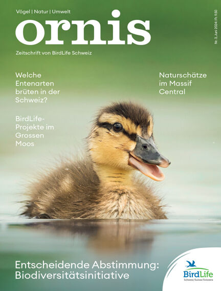 Read ornis magazine on Readly - the ultimate magazine subscription ...